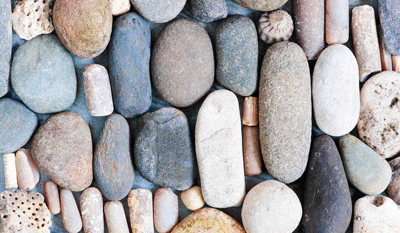 Live Science | Rock ‘n’ Roll | Danville Science Center